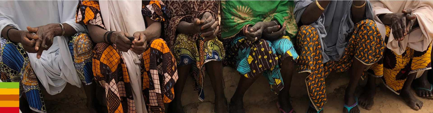 Consultancy – africrops!